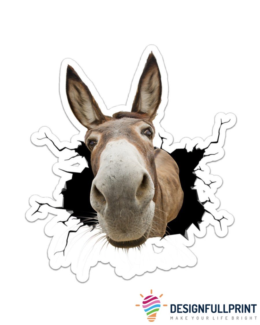 Funny Donkey Car Sticker NHD – Designfullprint