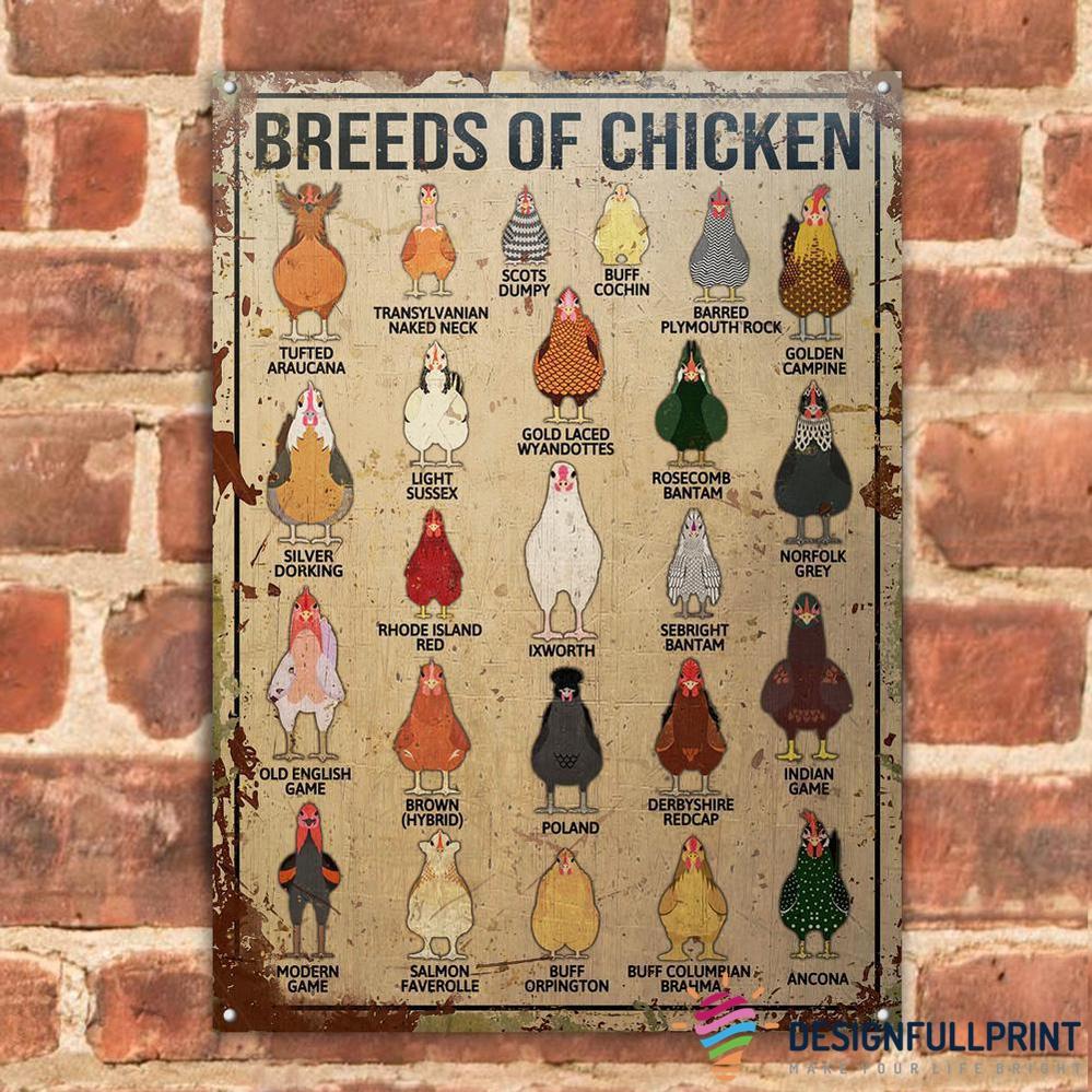 Breeds Of Chicken Old Rust Classic Metal Signs CM Farmer Gift ...