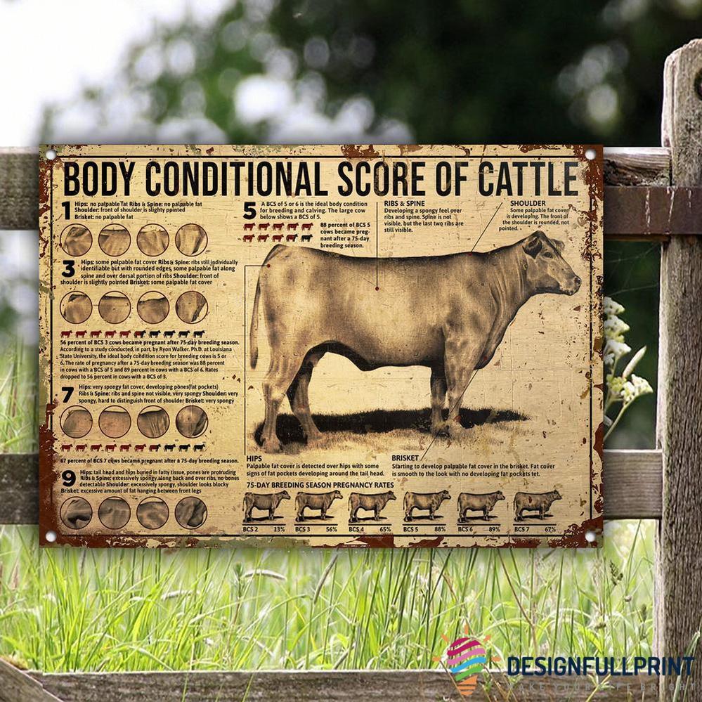 Cattle Body Conditional Score Classic Metal Signs CM Farmer Gift ...